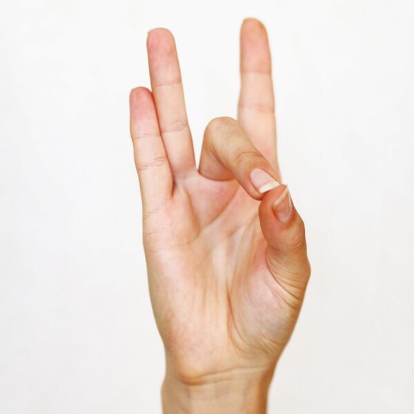 11 Powerful Mudras or Finger Poses/Gestures for Meditation