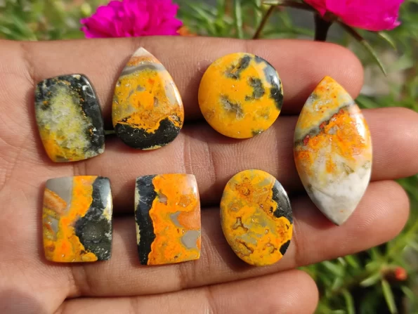 Bumblebee Jasper Properties, Significance, How to Care