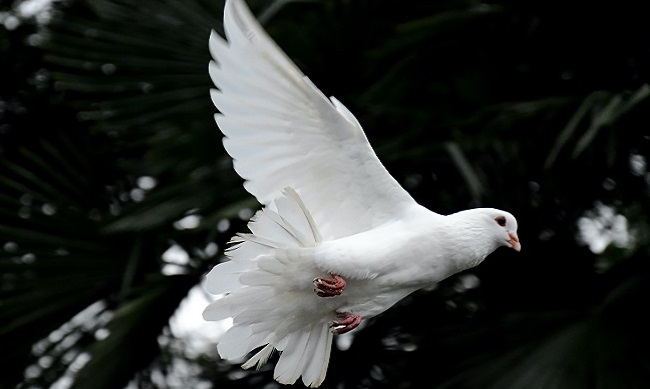 Always Seeing Different Angel Numbers: (8 Facts)